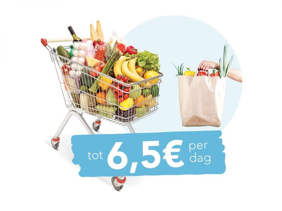 Wat verdient een huishoudhulp? Een overzicht van loon en voordelen